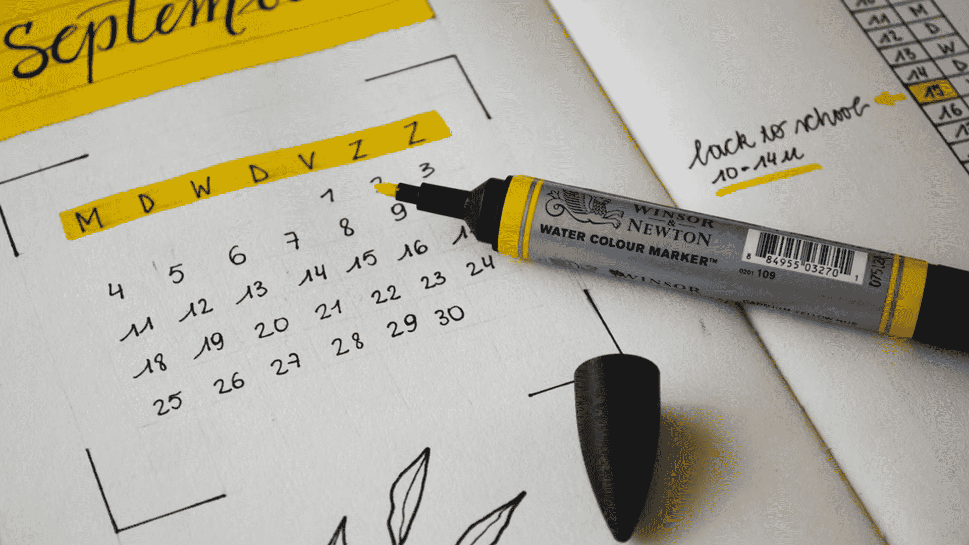 College Application Timeline For Early Decisions | Cultivate Academics